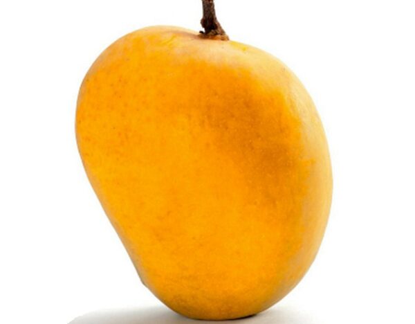 A Grade | Ratnagiri Alphonso Mangoes Buy online